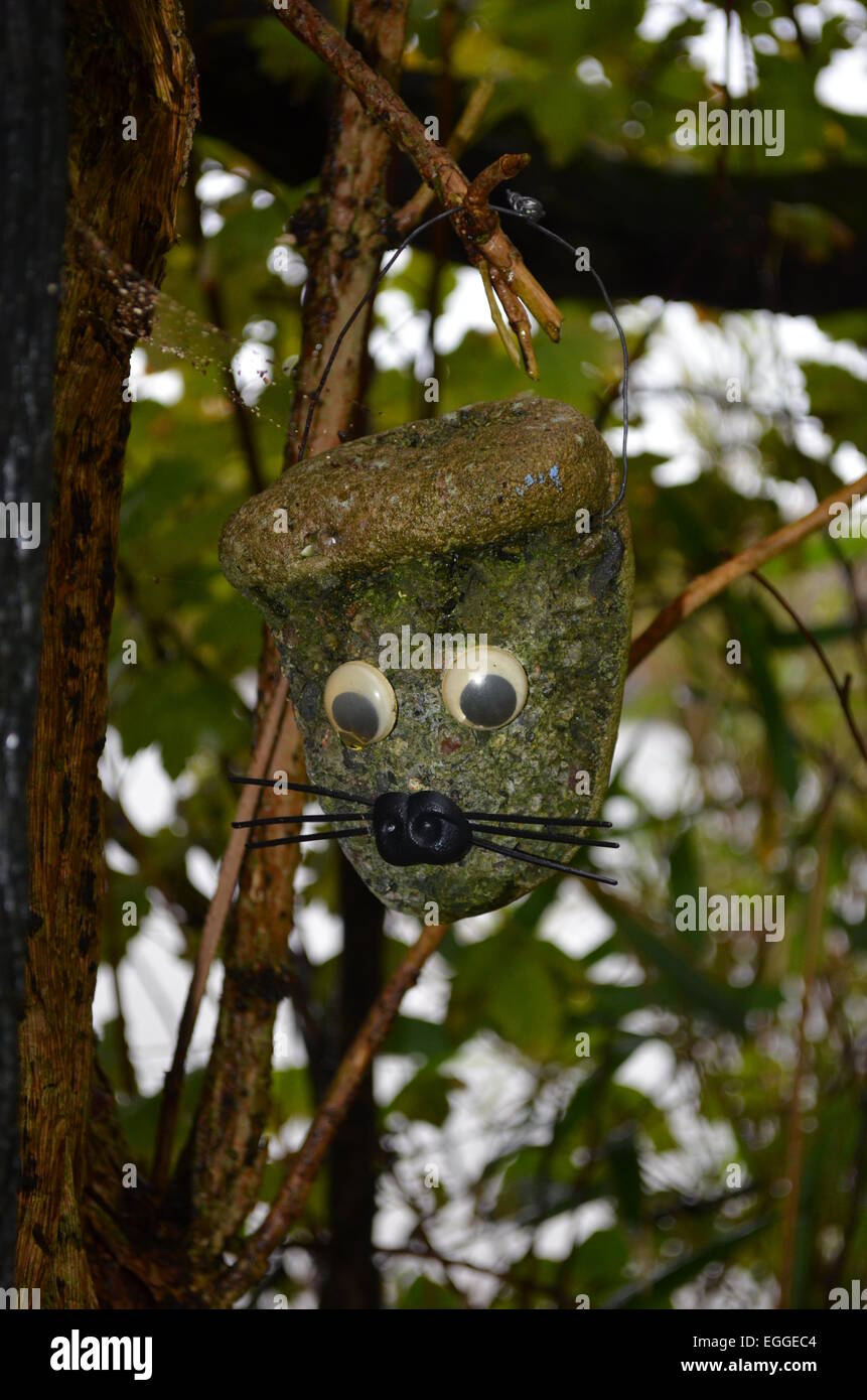 Rock mouse Banque de photographies et d’images à haute résolution - Alamy