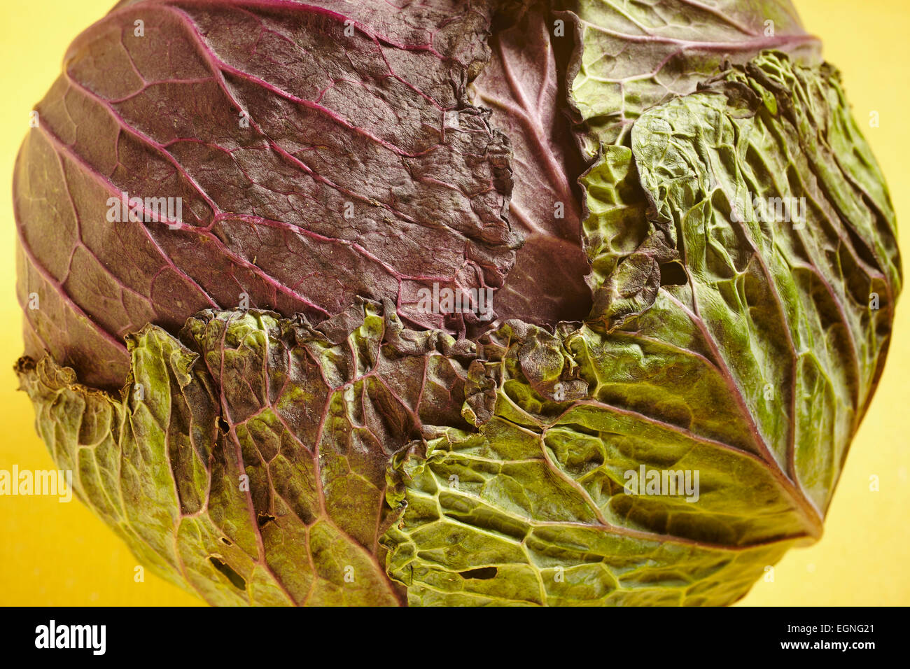 Rouge et vert Banque de photographies et d’images à haute résolution ...