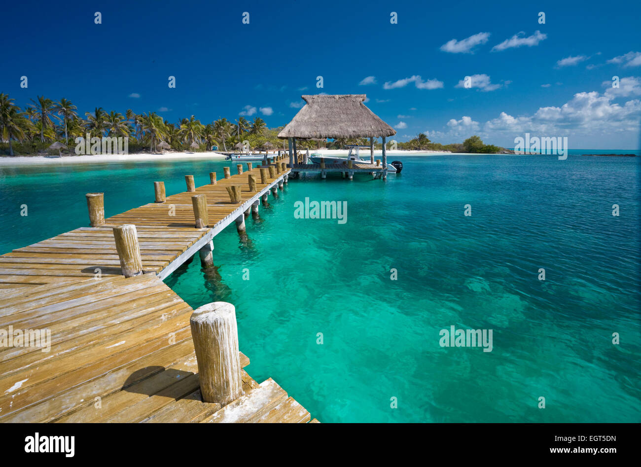 Jetty, île des Caraïbes, Isla Contoy, Quintana Roo, Mexique Photo Stock ...
