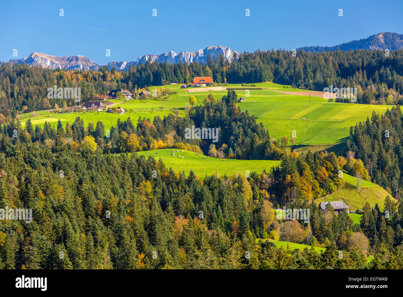 Région Emmental près de Langnau im Emmental, dans le canton de Berne ...