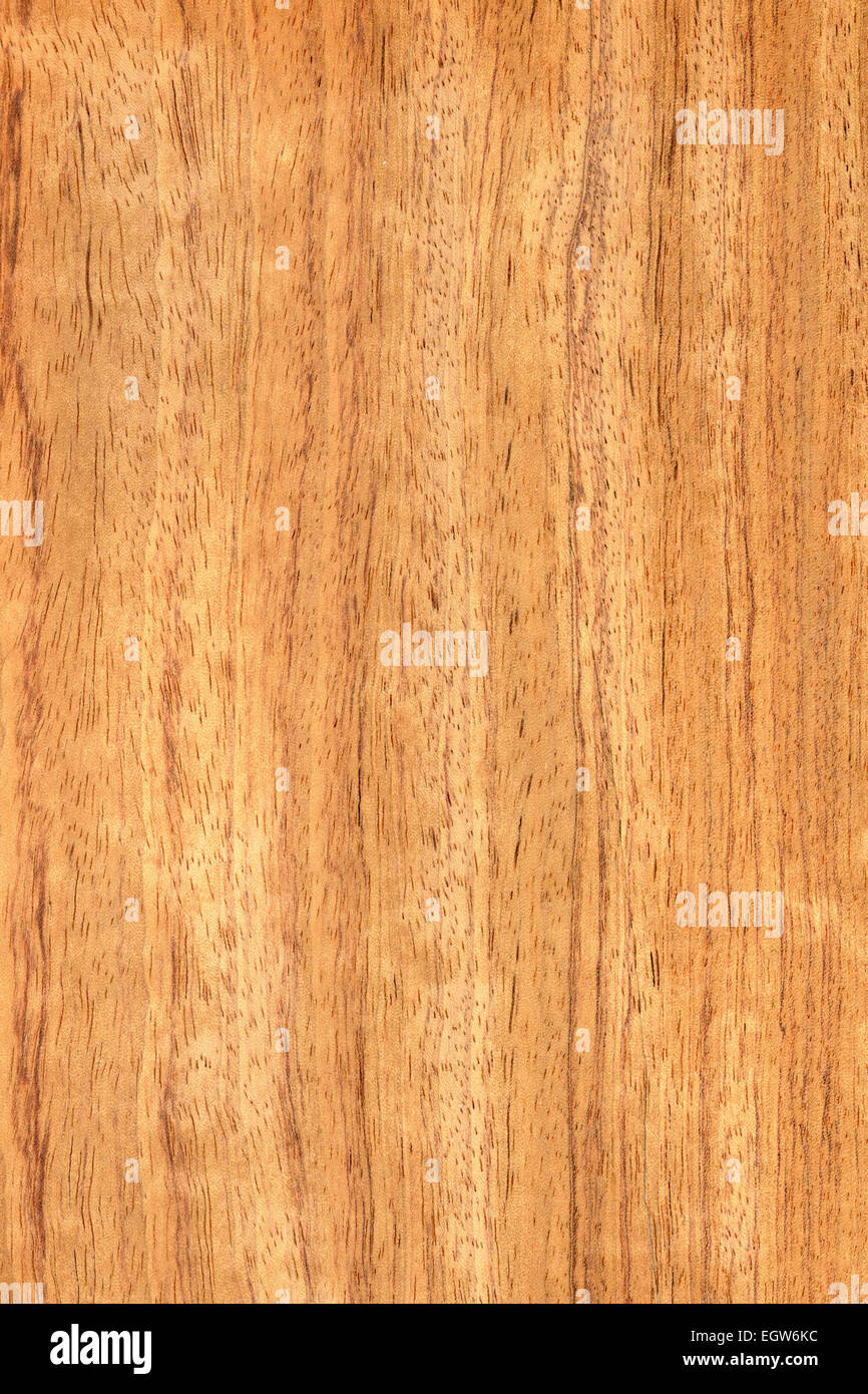 Arrière-plan de grain du bois de bubinga bois, ou Guibourtia demeusei ...