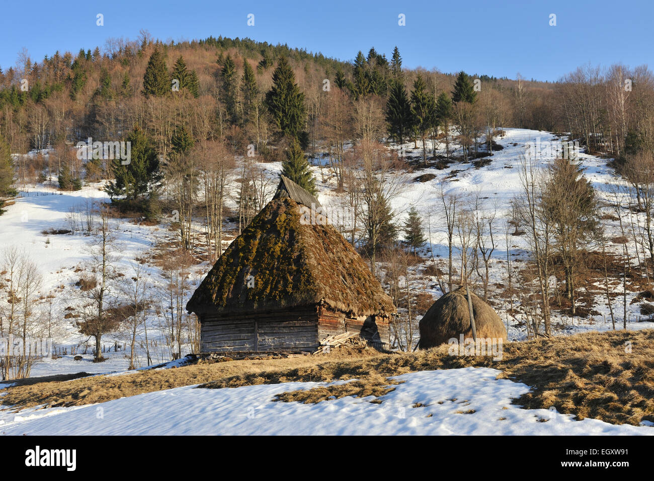 Cabane en bois et de foin, les Montagnes Apuseni, Brasov, Roumanie ...