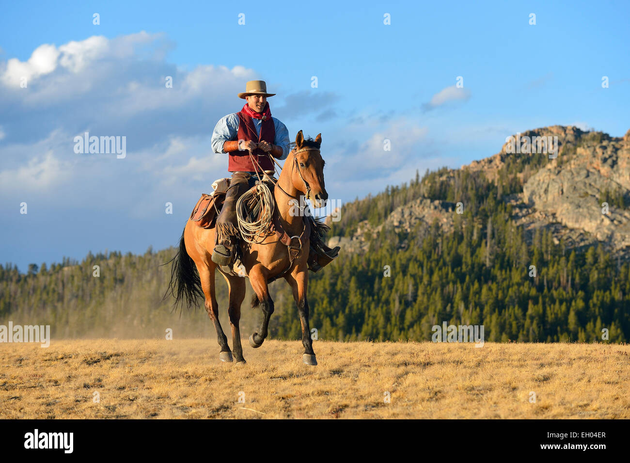 Cow boy et son cheval Banque de photographies et d’images à haute ...