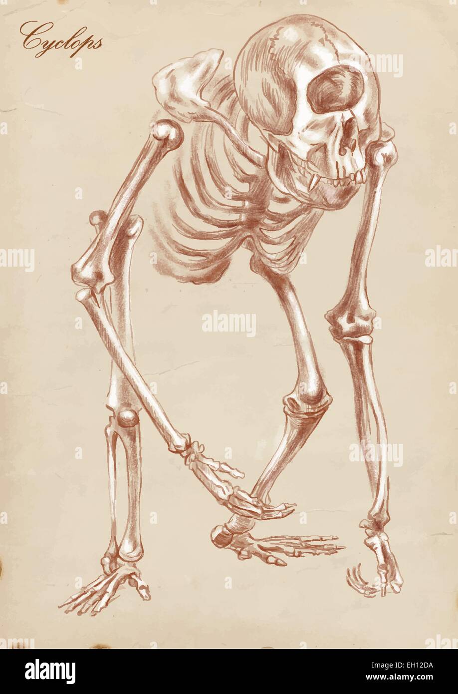 Un hand drawn vector illustration. Série d'animaux légendaires et des ...