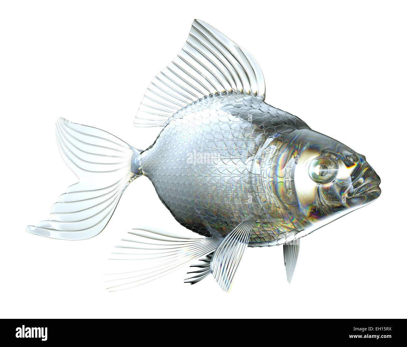 Poisson transparent Banque d'images détourées - Alamy