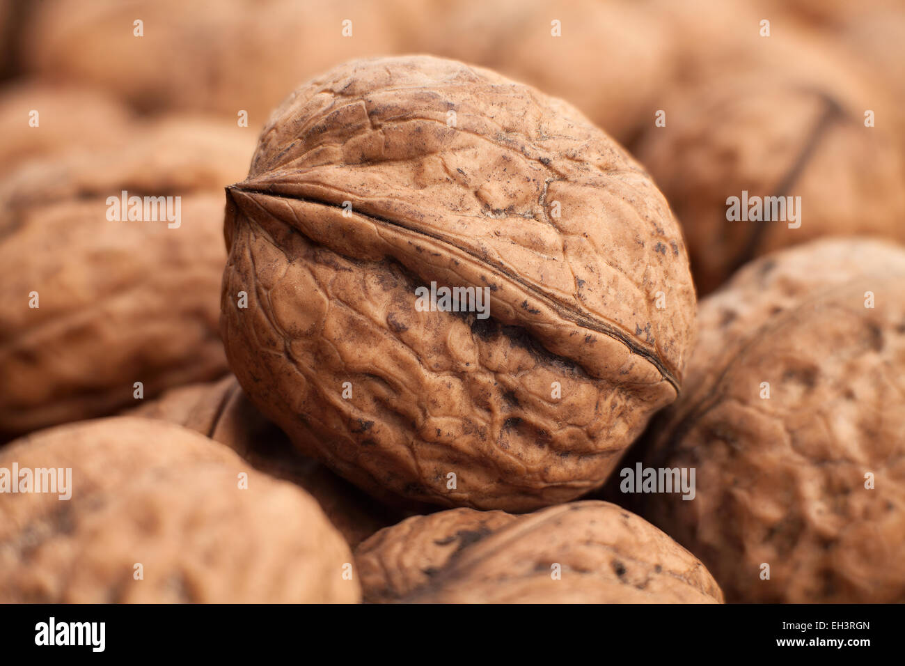 Noix grenoble Banque de photographies et d’images à haute résolution ...