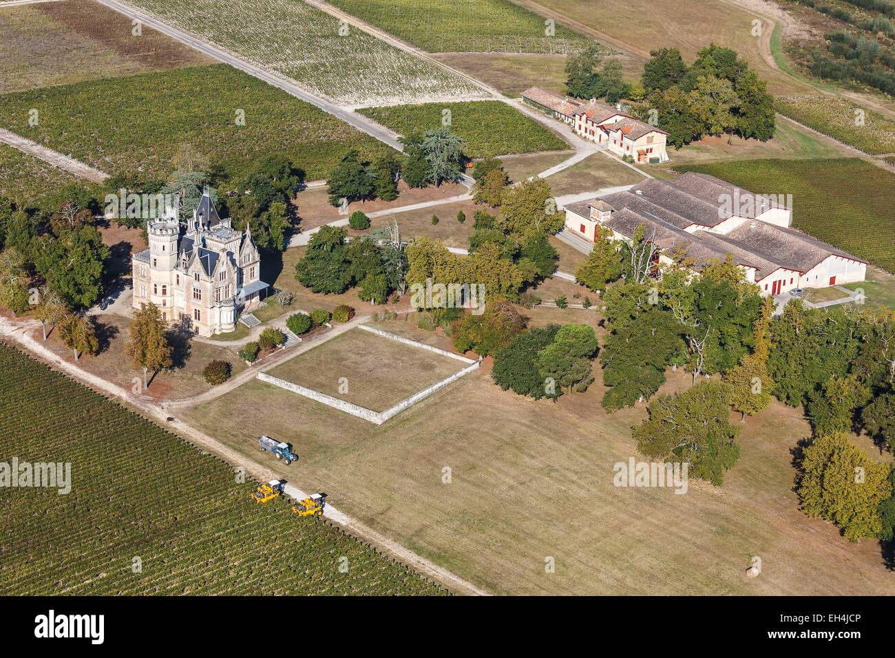 France, Gironde, Cussac Fort Médoc, vendangeurs dans le Haut Medoc ...