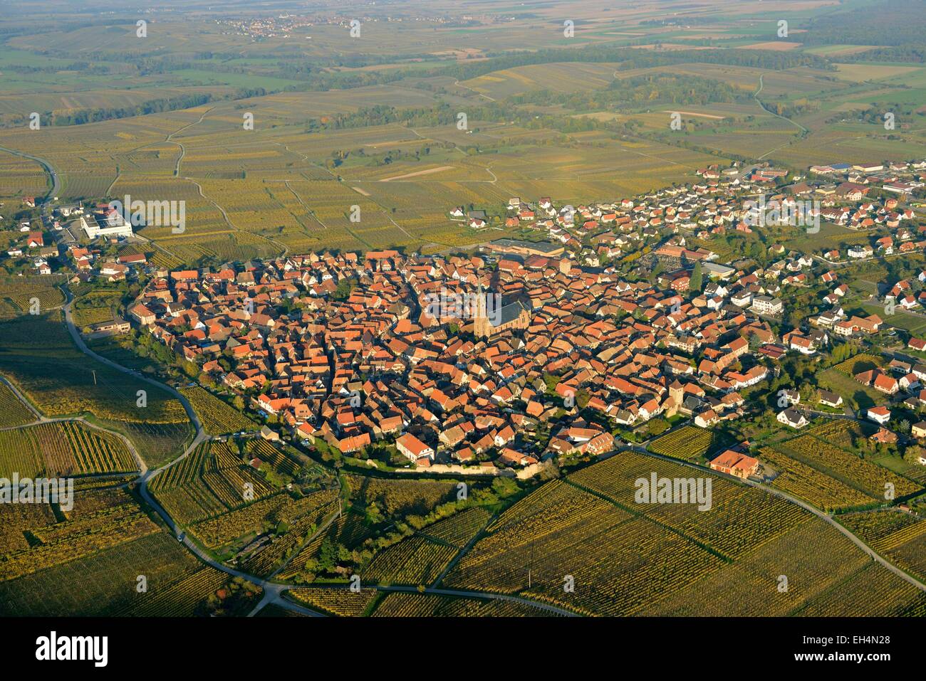 La France, Bas Rhin, Alsace Wine Route, Dambach la ville (vue aérienne ...
