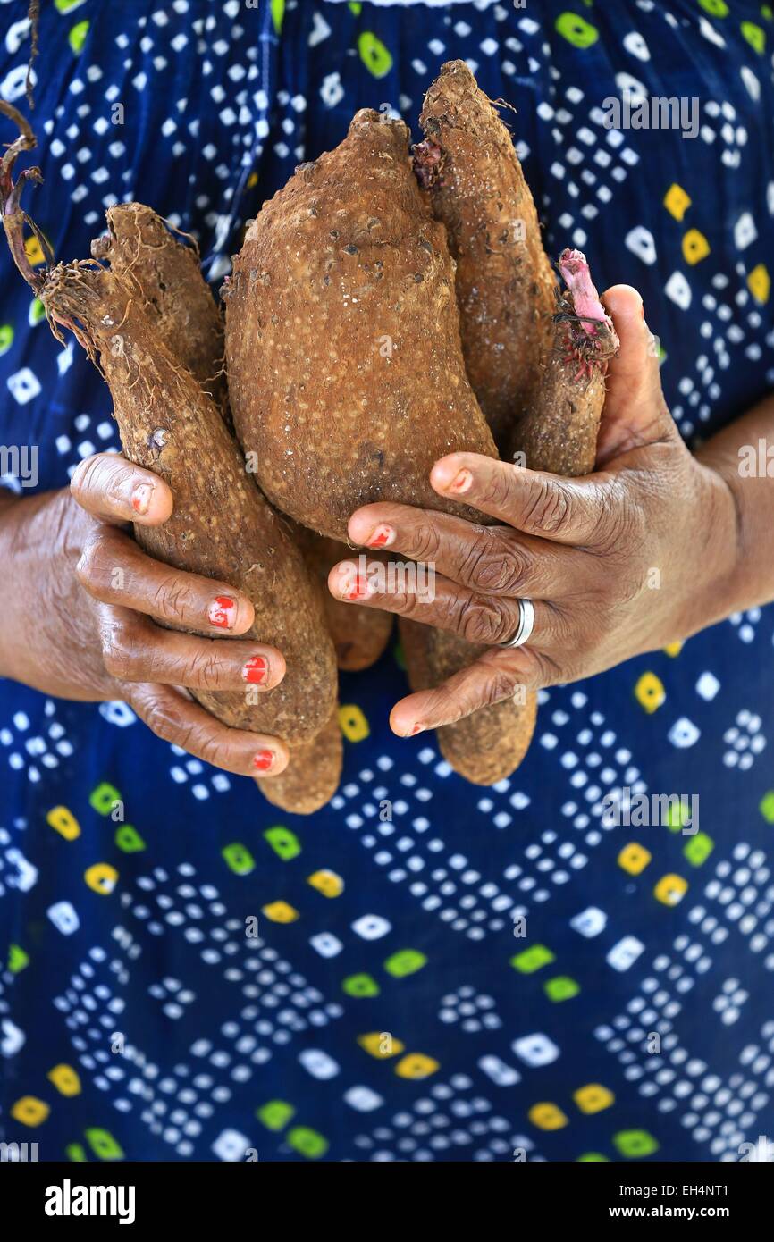 Des ignames Banque de photographies et d’images à haute résolution - Alamy