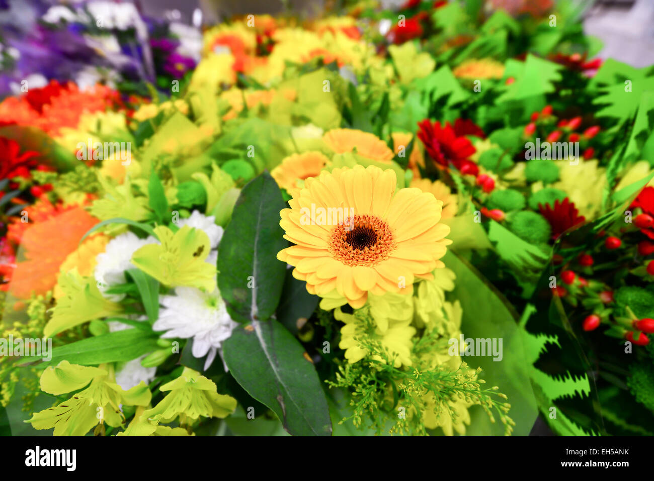 Bouquet de fleurs avec beaucoup de fleurs différentes Photo Stock - Alamy