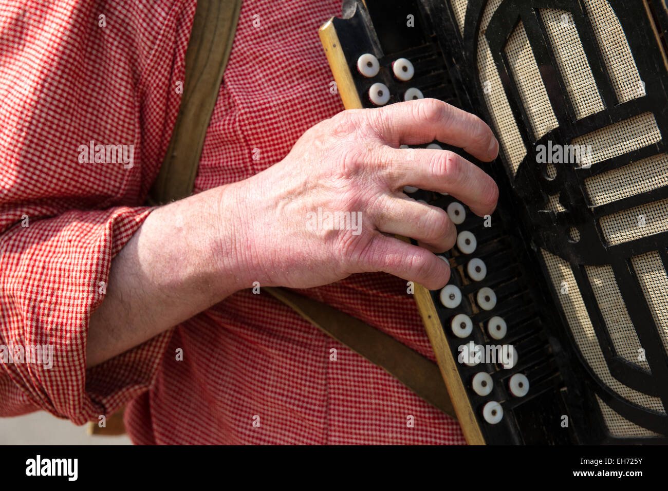 La main d'un inconnu, méconnaissable, accordéoniste bayanist, bayan ...
