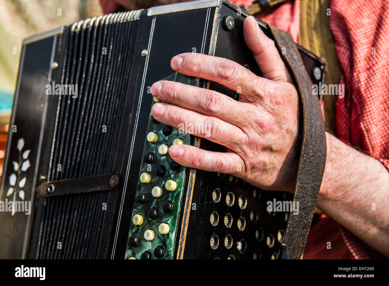 La main d'un inconnu, méconnaissable, accordéoniste bayanist, bayan ...