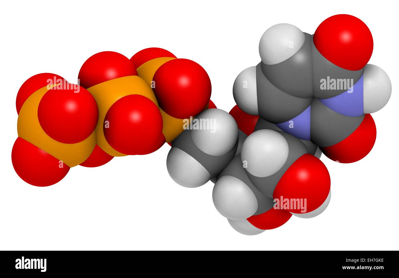 Uridine monophosphate nucleotide molecule Banque de photographies et d ...