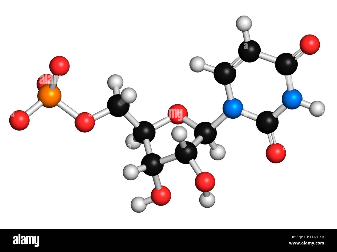 Uridine Monophosphate Nucleotide Molecule Banque De Photographies Et D