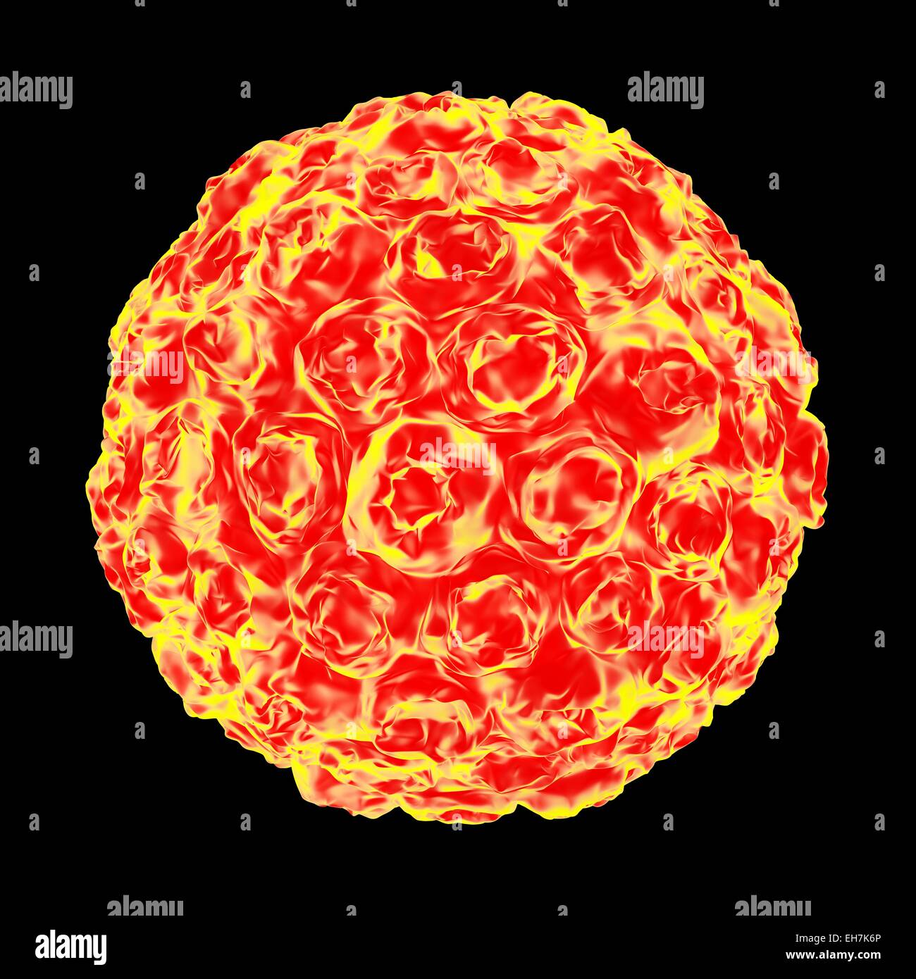 Virus du papillome humain viral hpv Banque de photographies et d’images ...