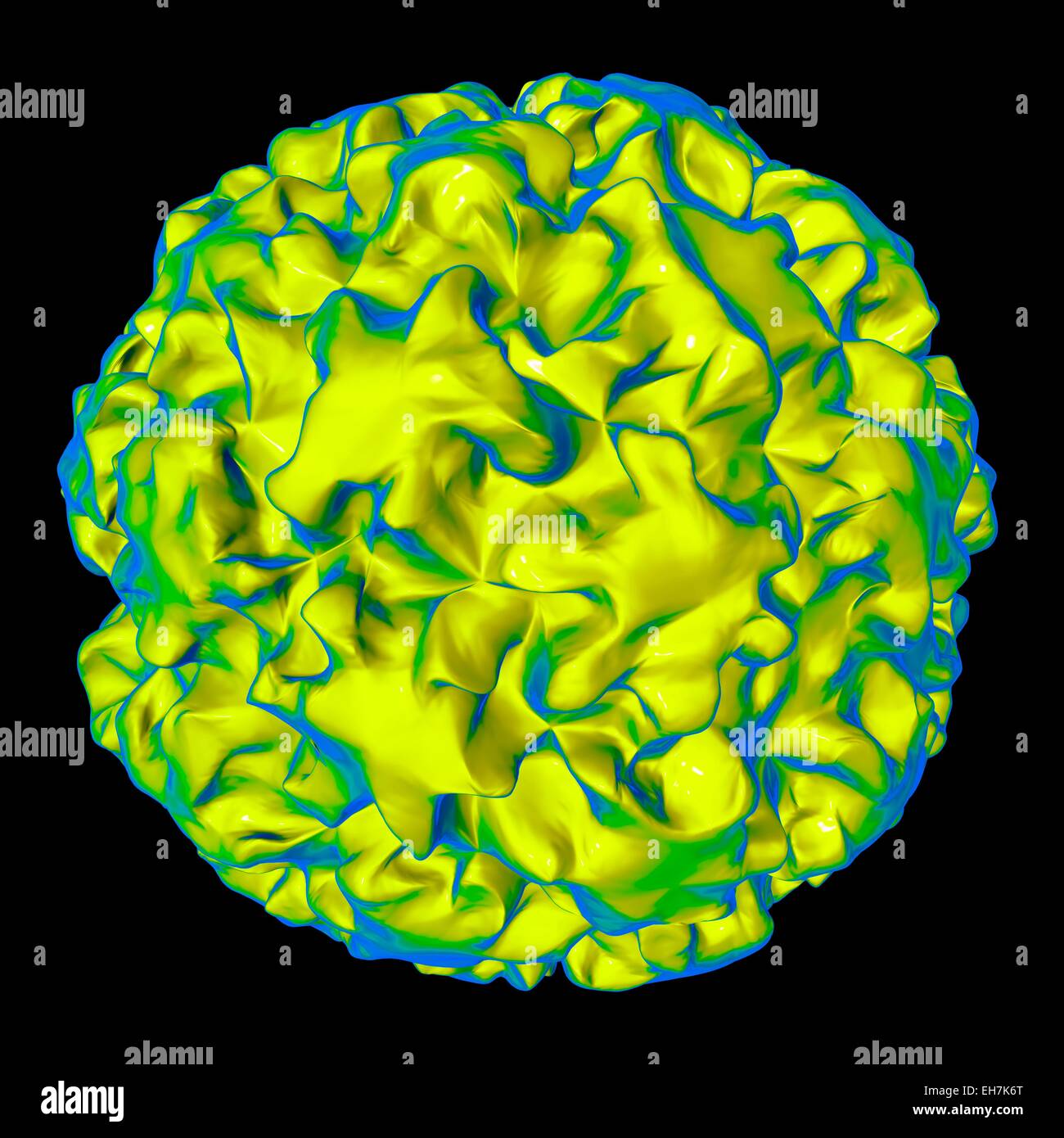 Virus du papillome humain viral hpv Banque de photographies et d’images ...