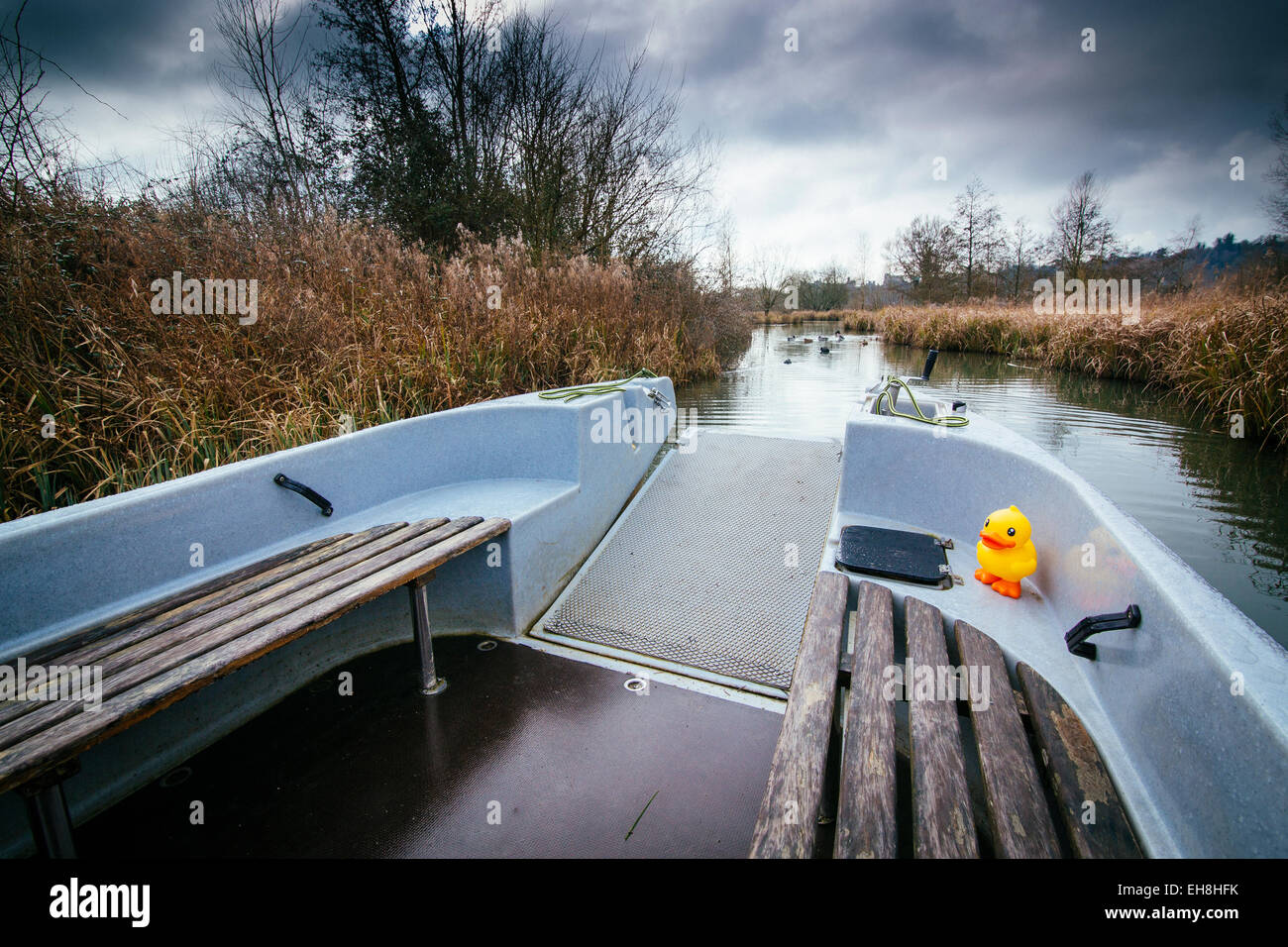 Arundel wetland Banque de photographies et d’images à haute résolution ...