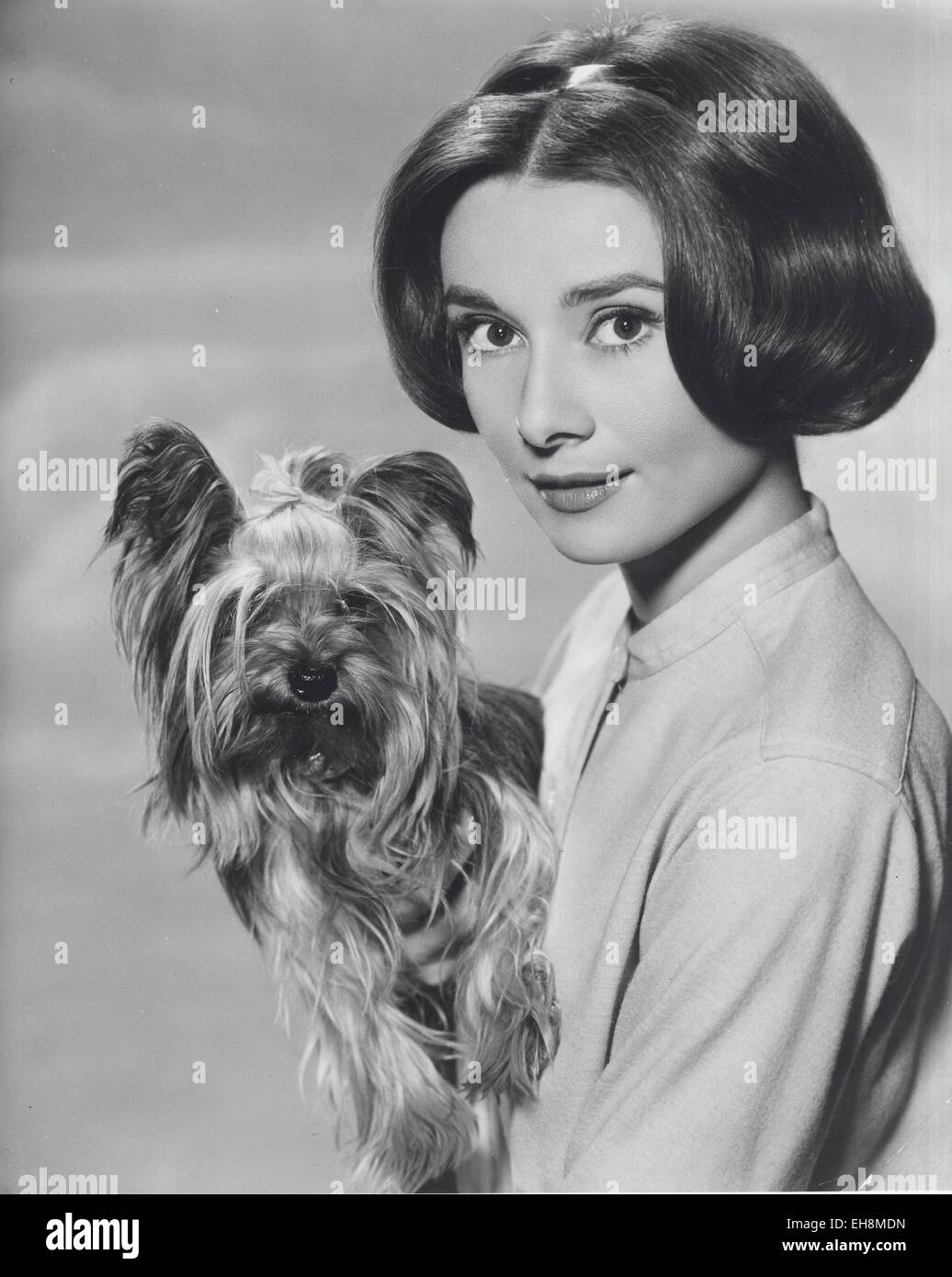 Audrey hepburn chien Banque de photographies et d’images à haute ...