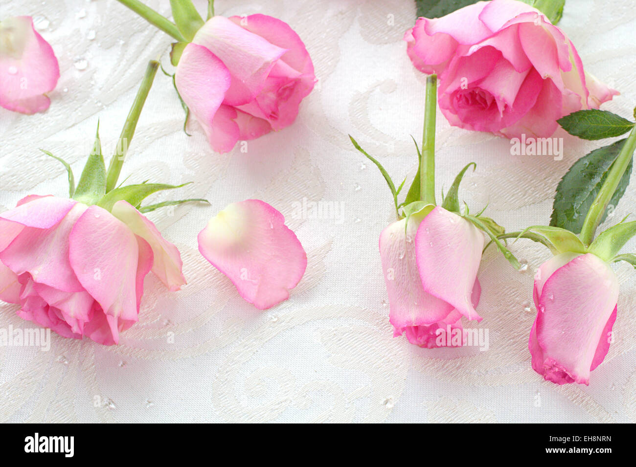 Fond jolie Banque de photographies et d’images à haute résolution - Alamy