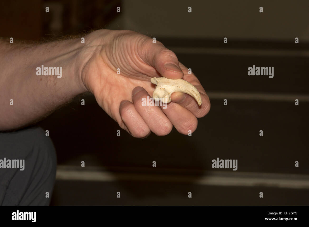 Alan tennyson Banque de photographies et d’images à haute résolution ...