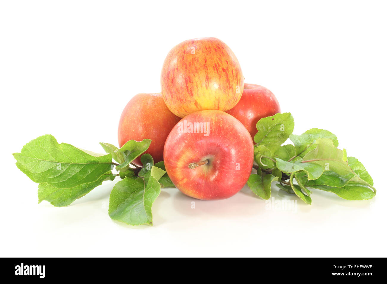 Arbre avec feuilles et pommes Banque d'images détourées - Alamy