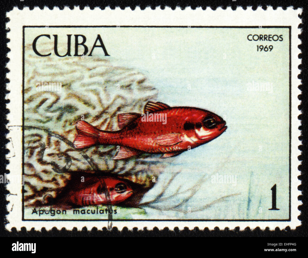 CUBA - circa 1969 : timbres en Cuba montre le poisson Apogon maculatus ...