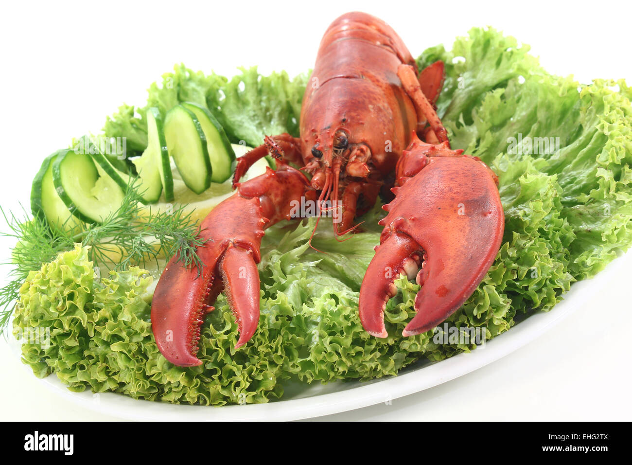Homard frais Banque de photographies et d’images à haute résolution - Alamy