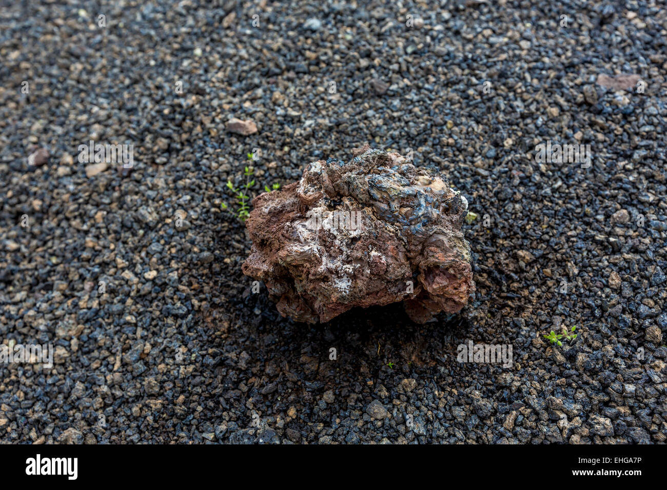 Une pierre volcanique Banque de photographies et d’images à haute ...