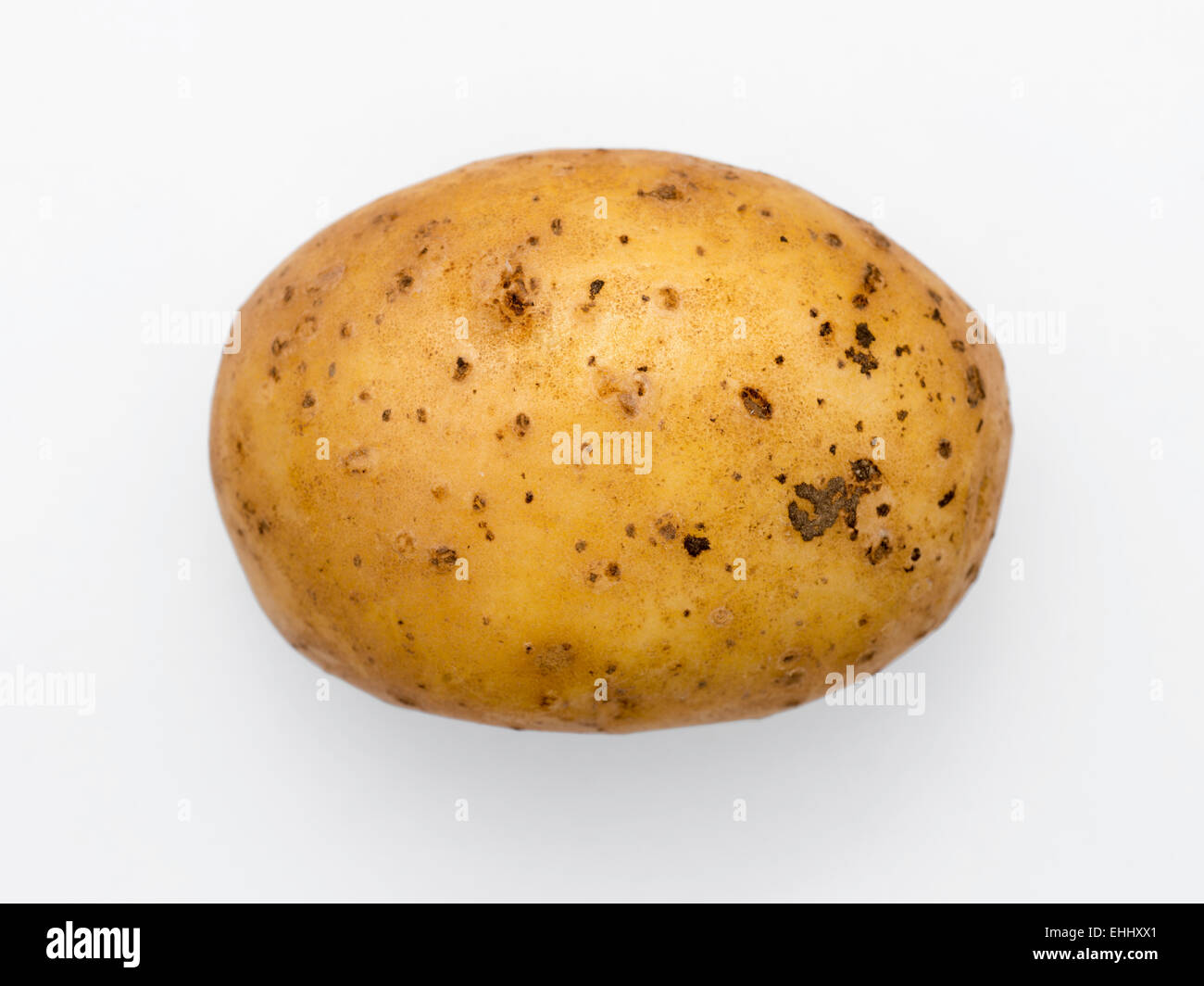 Tubercule de pomme de terre cru isolé sur fond blanc Photo Stock - Alamy