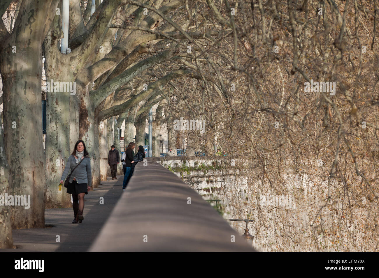 Lungotevere de cenci Banque de photographies et d’images à haute ...