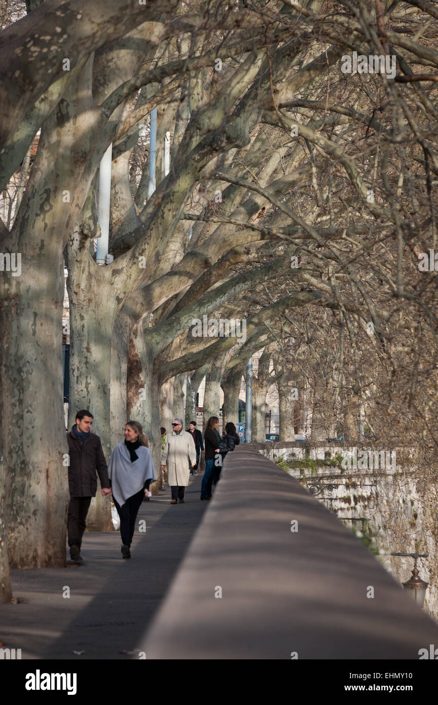 Lungotevere de cenci Banque de photographies et d’images à haute ...
