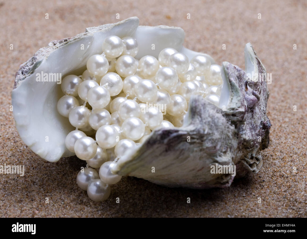 Coquille de perles de mer Banque de photographies et d’images à haute ...