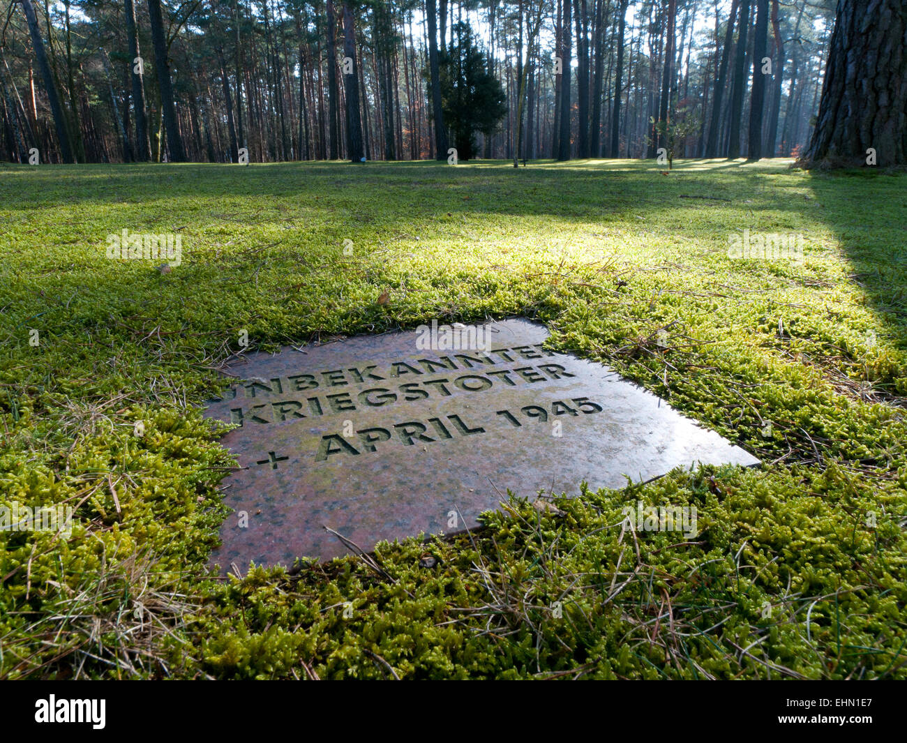 Cimetière de guerre allemand halbe wwii Banque de photographies et d ...