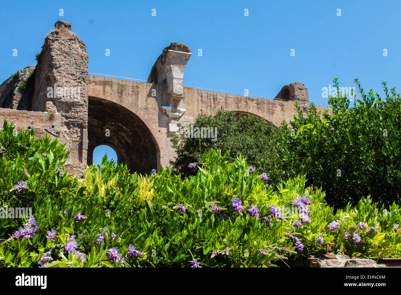 Vestiges romains à Rome - Basilique Julia Photo Stock - Alamy