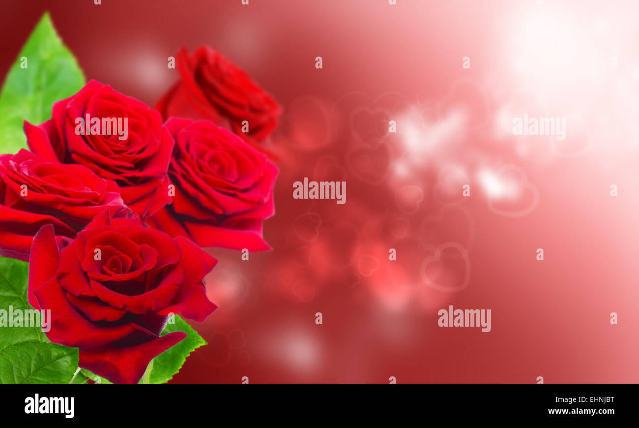 Collage de roses Banque de photographies et d’images à haute résolution ...