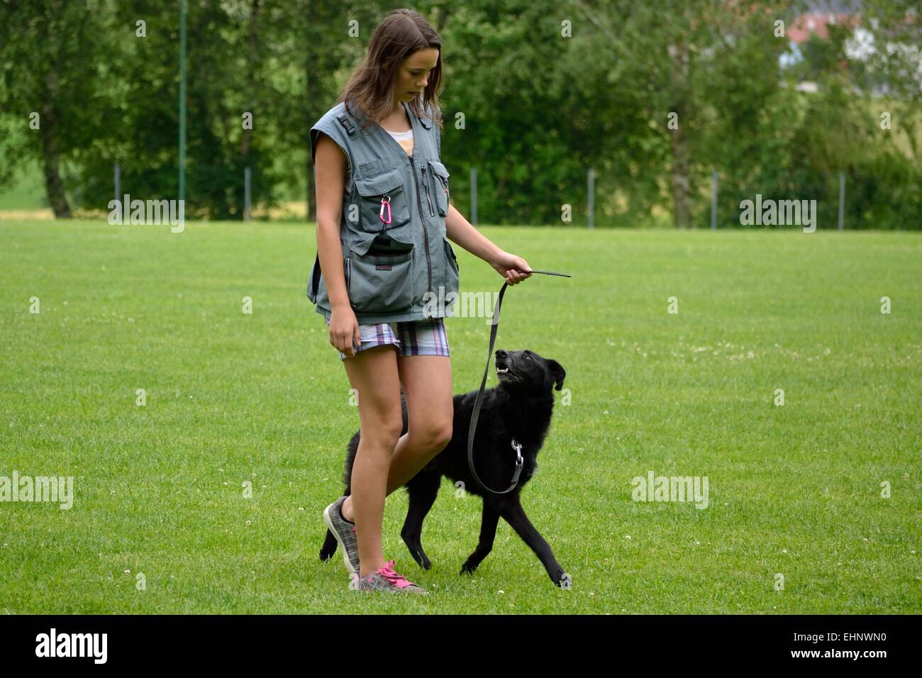 Adolescent Avec Son Chien Banque De Photographies Et Dimages à Haute