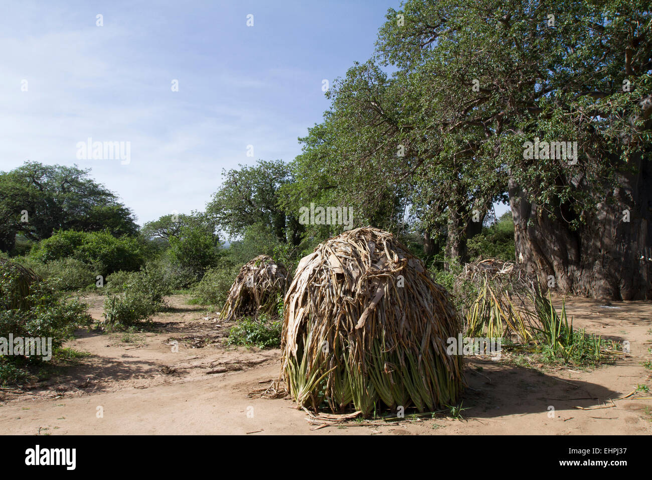 Hazabe Banque de photographies et d’images à haute résolution - Alamy