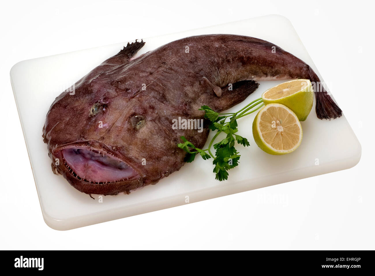Deep sea anglerfish Banque d'images détourées - Alamy