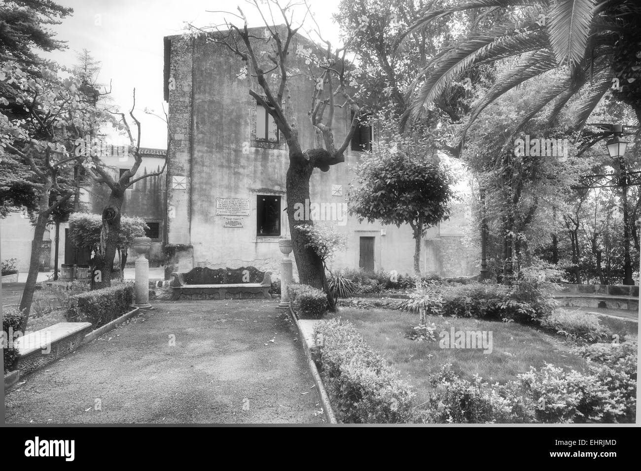Les moines capucins Banque de photographies et d’images à haute ...