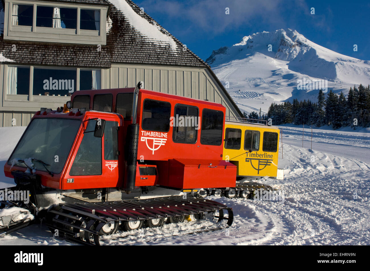 Cat vehicles Banque de photographies et d’images à haute résolution - Alamy