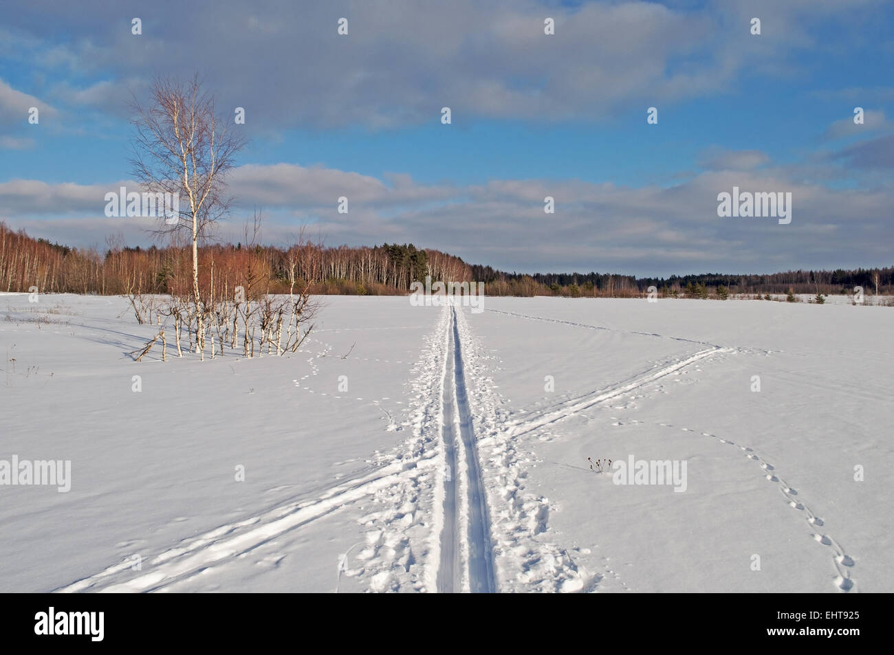Trace de ski Banque de photographies et d’images à haute résolution - Alamy