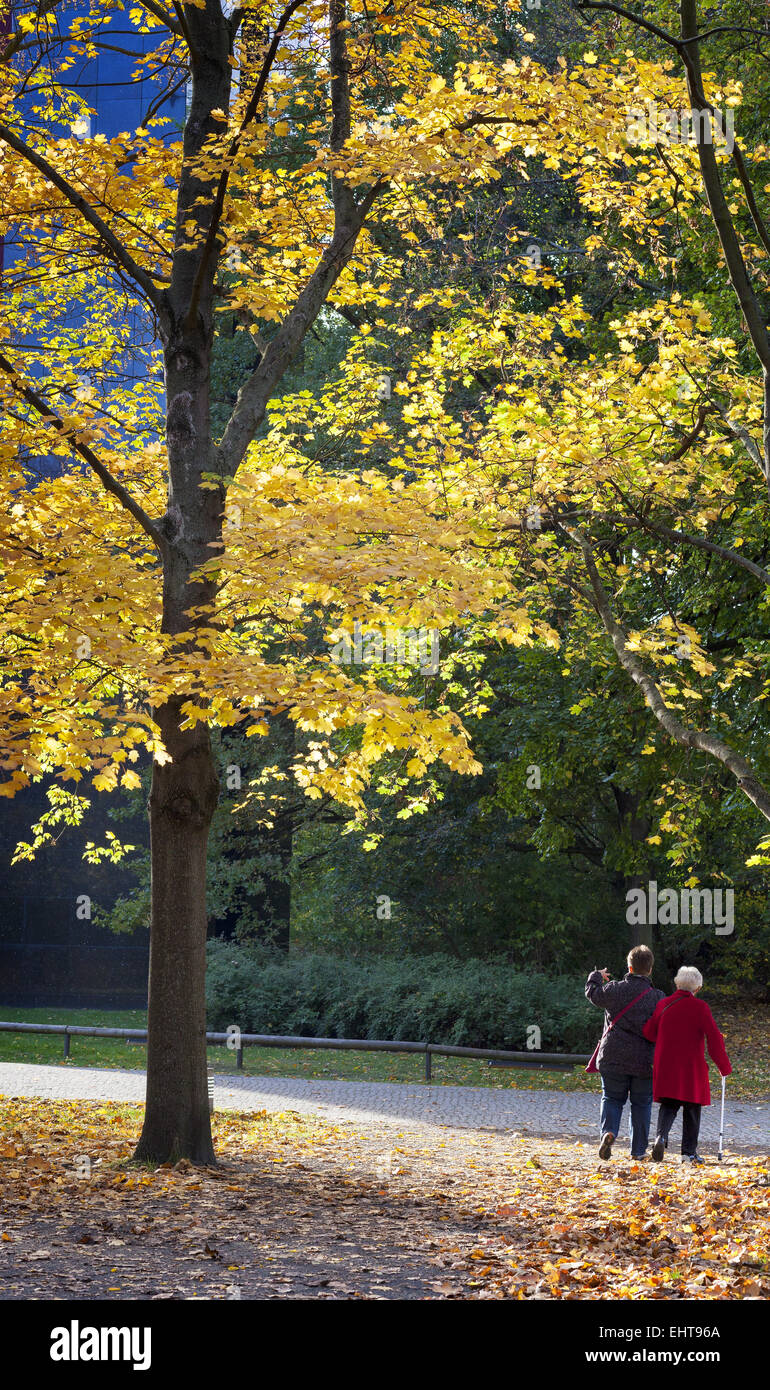Promenade dans la forêt Banque de photographies et d’images à haute ...