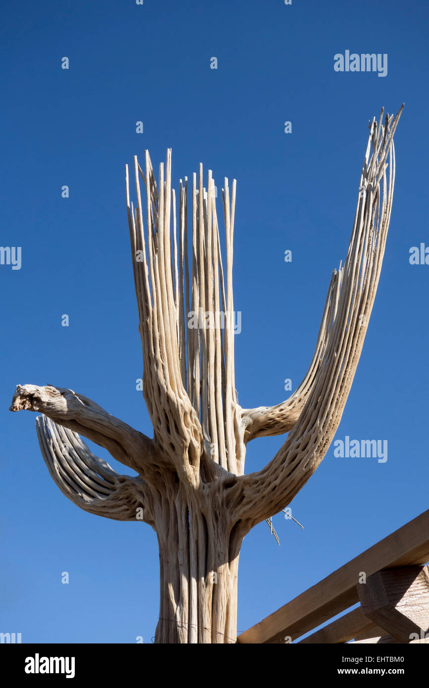 Giant saguaro cactus Banque de photographies et d’images à haute ...
