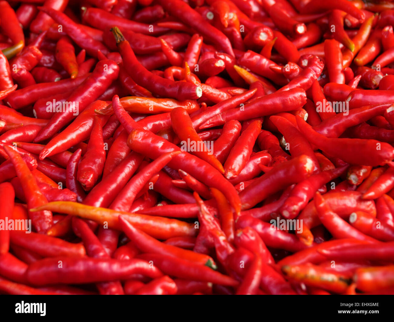 Tas de piments rouges Banque de photographies et d’images à haute ...
