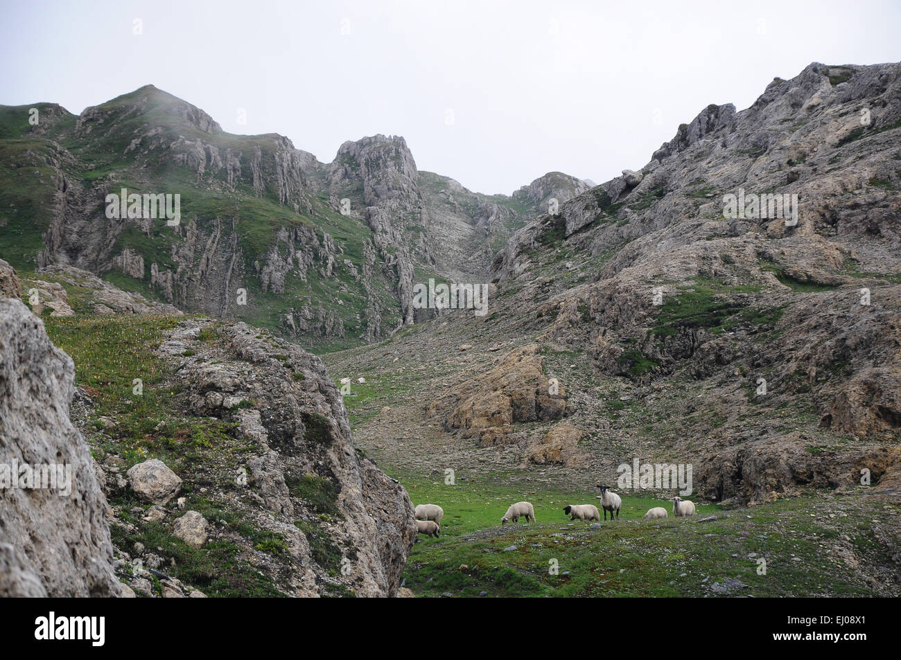 Parco adula Banque de photographies et d’images à haute résolution - Alamy