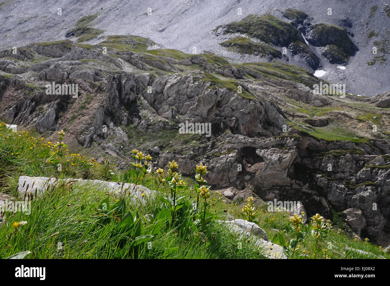 Parco adula Banque de photographies et d’images à haute résolution - Alamy