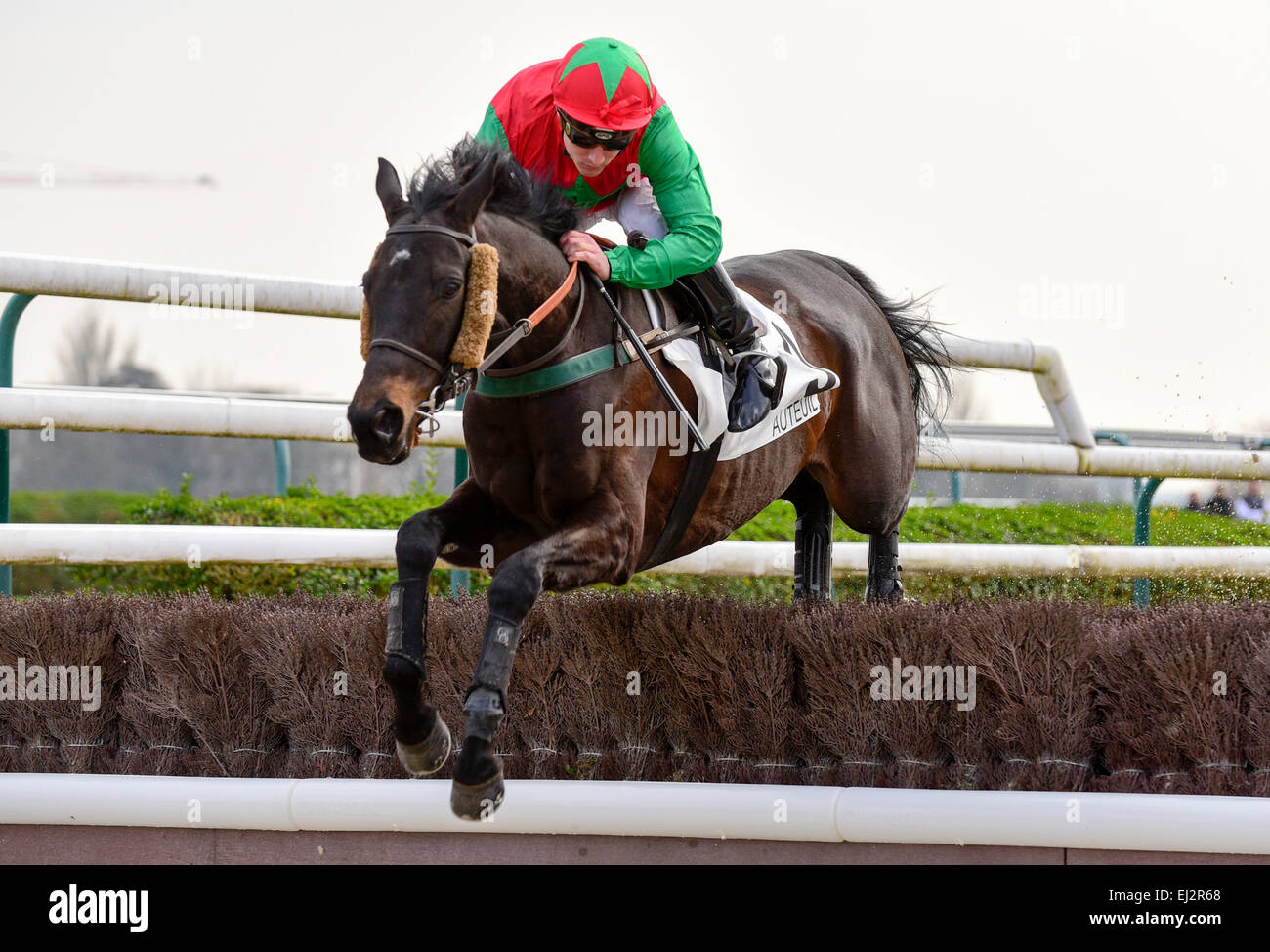 Steeple chase auteuil Banque de photographies et d’images à haute ...
