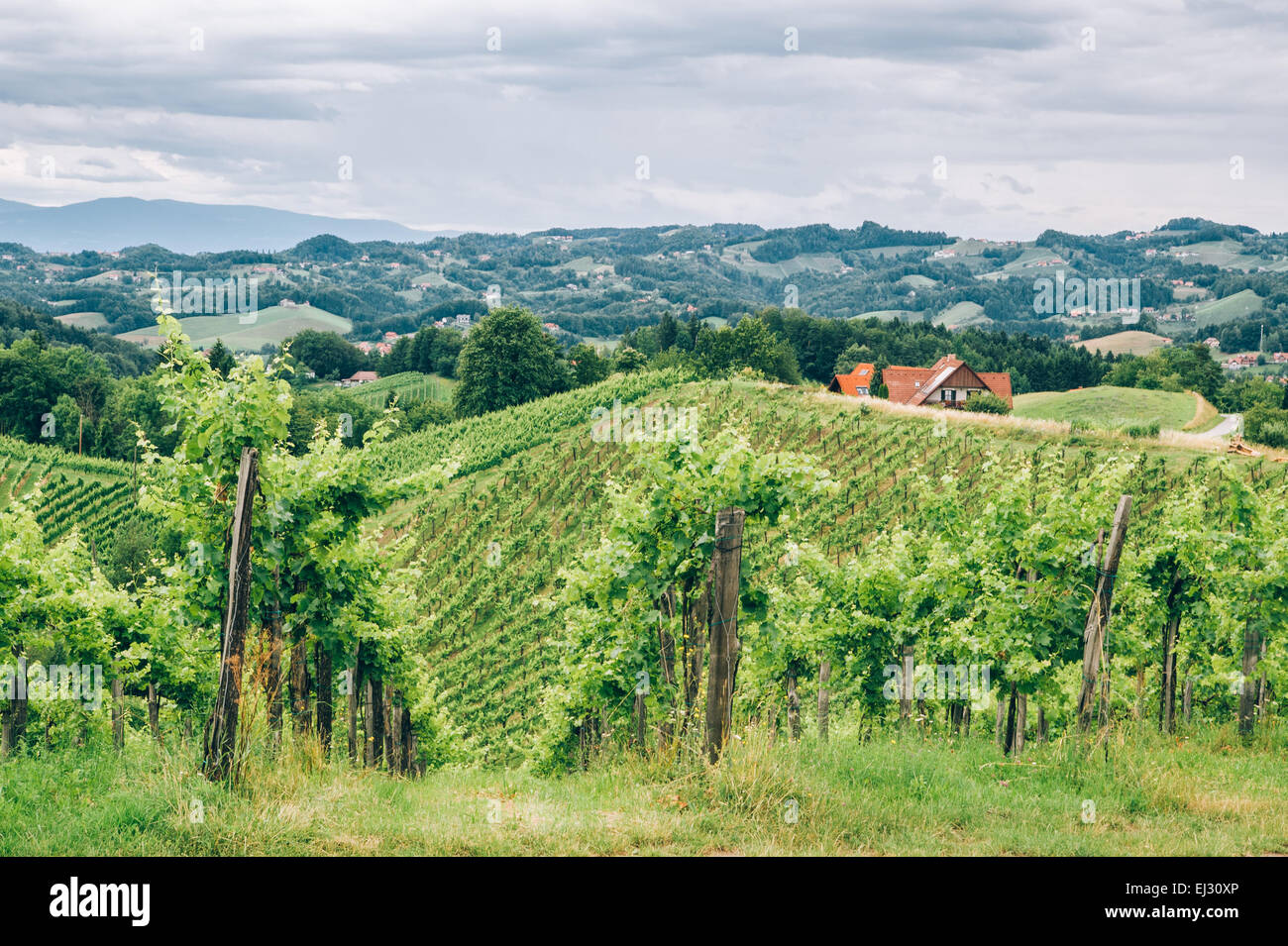 Southern styria Banque de photographies et d’images à haute résolution ...