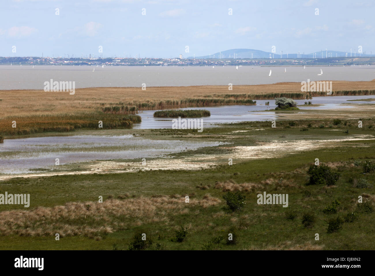 Neusiedler voir le lac neusied Banque de photographies et d’images à ...