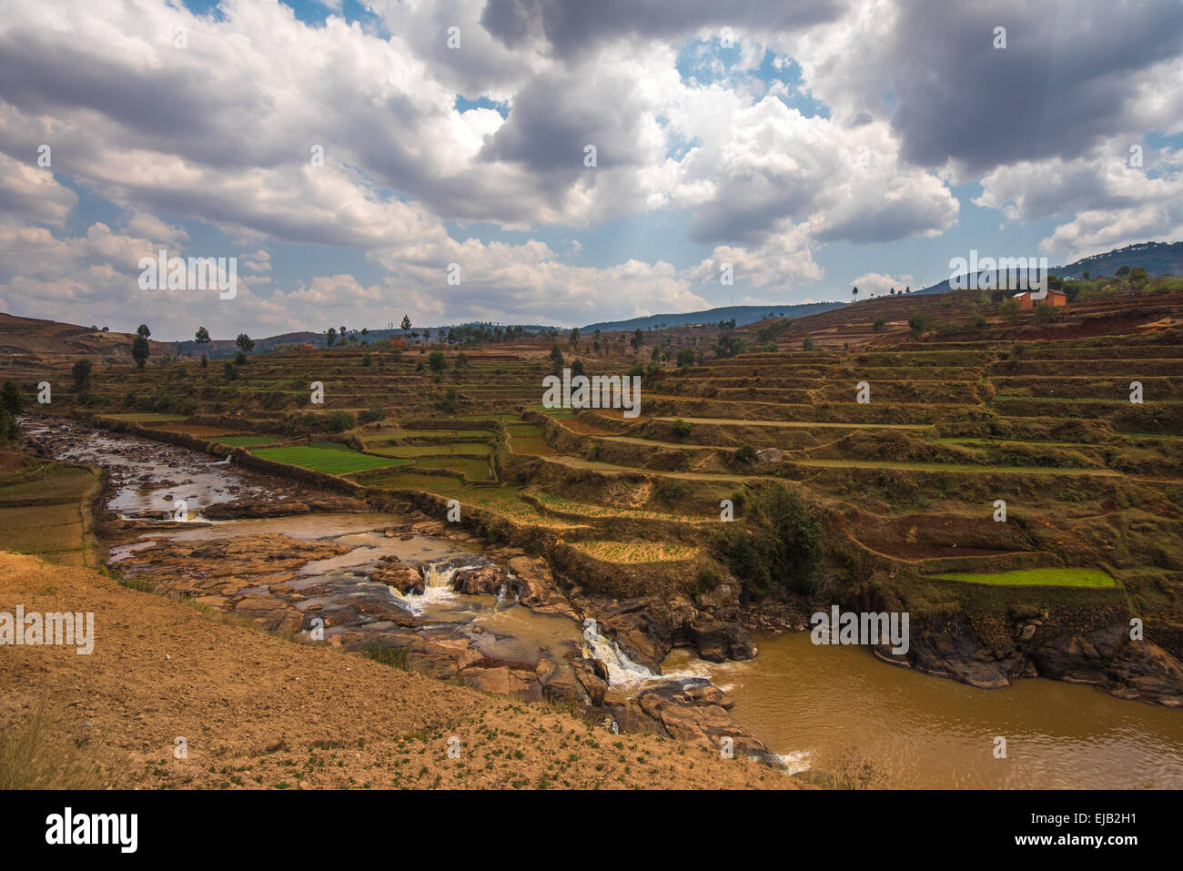 Paysage de rizière madagascar Banque de photographies et d’images à ...